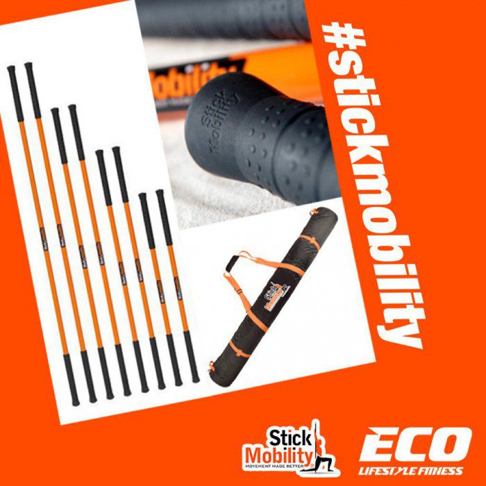 Stick mobility certification with stick | ECO Lifestyle Fitness (HK ...