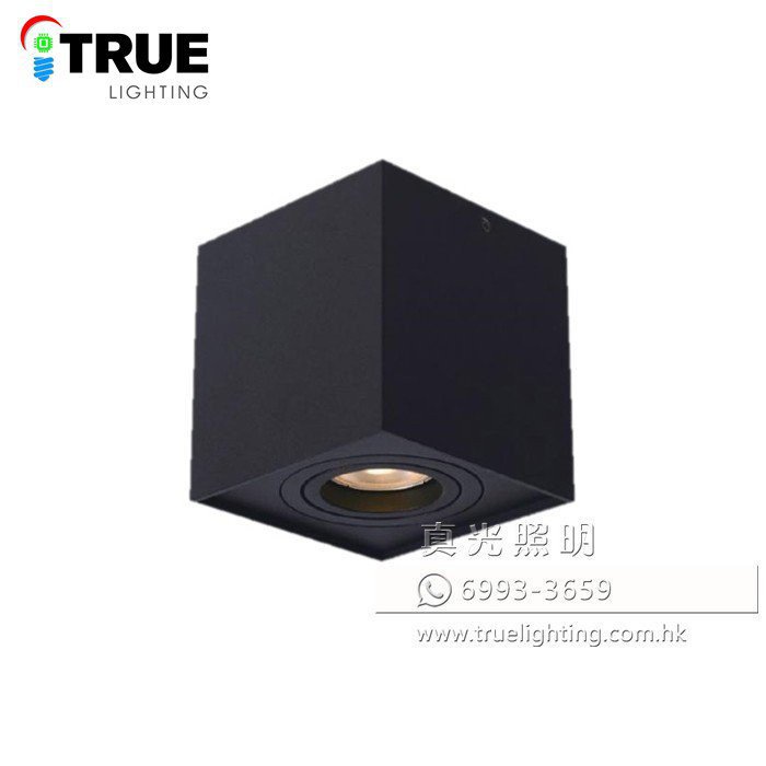 真光照明 TRUE Lighting Development Company | 真光照明發展公司